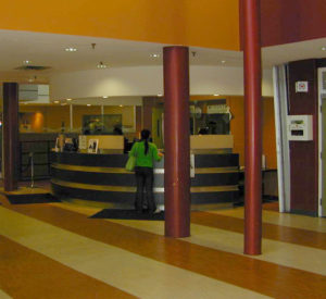 Ray Friel Centre Double Ice Pad – Lundy | MP Lundy